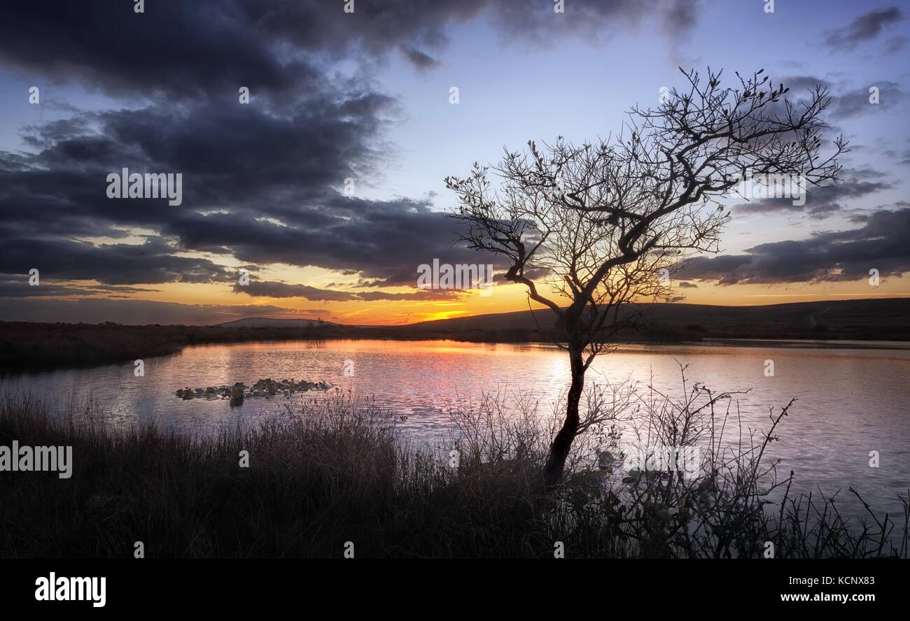 Broad Pool North Gower Stock Photo - Alamy