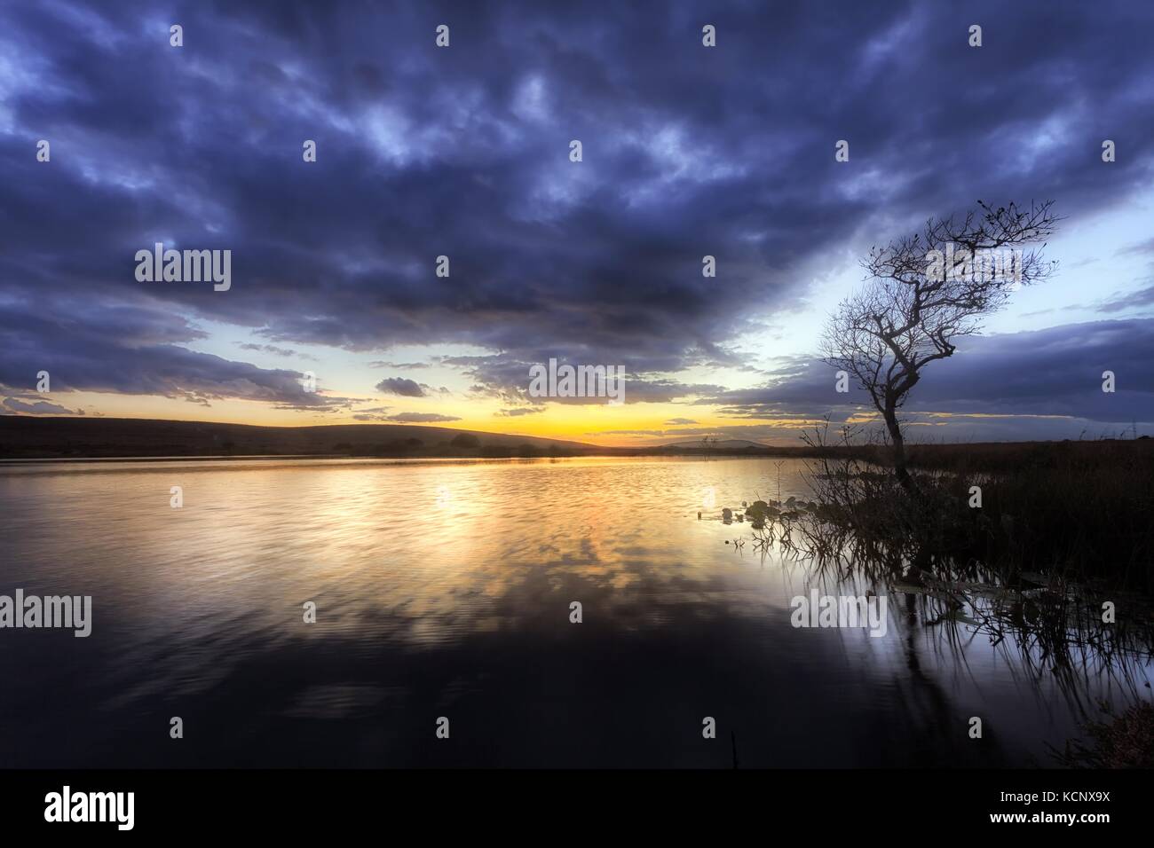 Broad Pool at sunset Stock Photo - Alamy