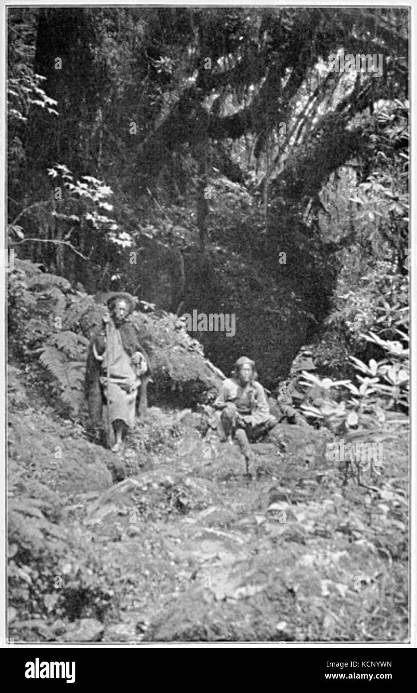 Forest in the Kama Valley Stock Photo - Alamy