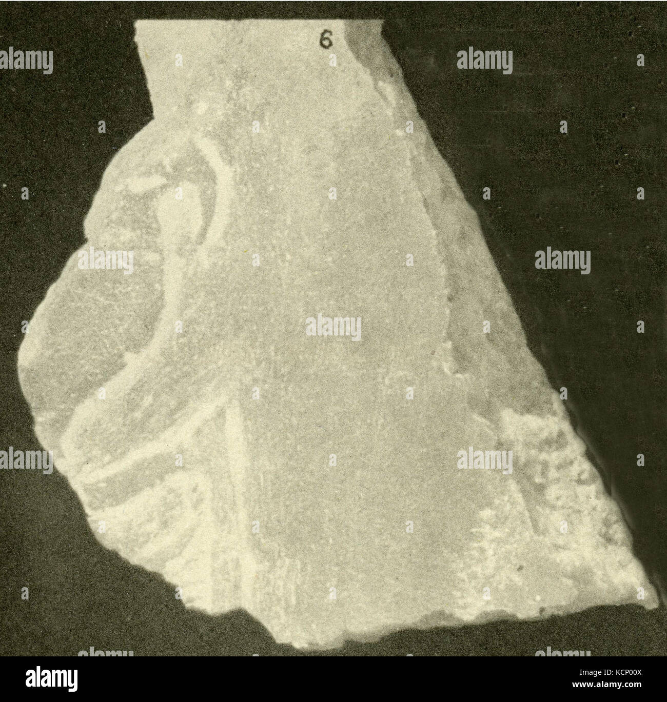 Fragment of Narmer serekh from Abydos Stock Photo - Alamy