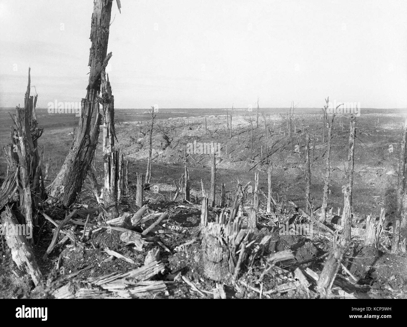 Beaumont hamel trench hi-res stock photography and images - Alamy