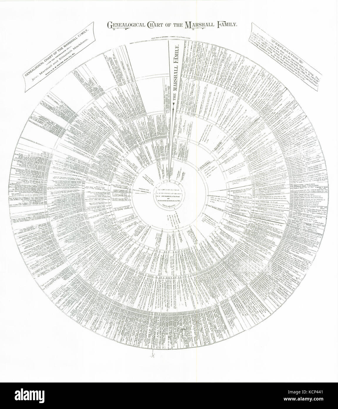 Family tree chart hi-res stock photography and images - Alamy