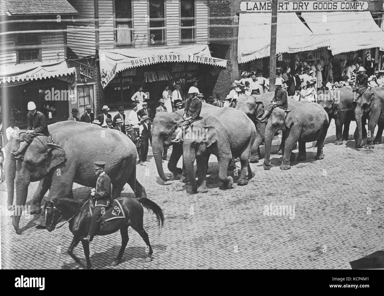 Geneseo, Illinois downtown elephants, 1890 Stock Photo - Alamy