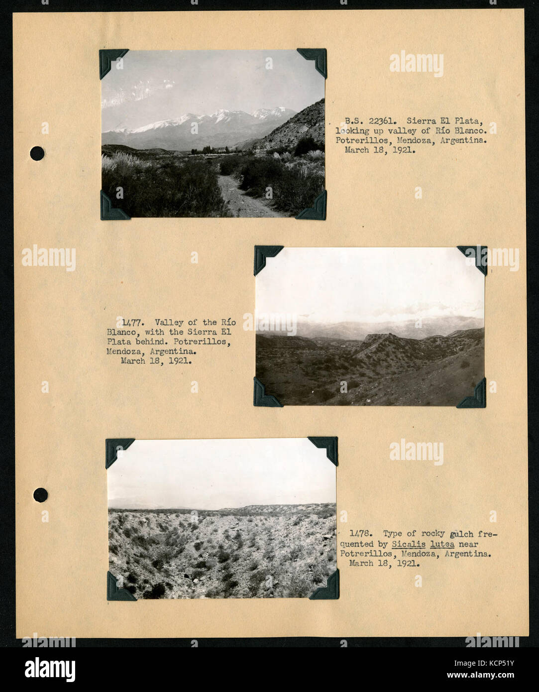 This album features photographs from 1920–1921 of Uruguay, Argentina ...