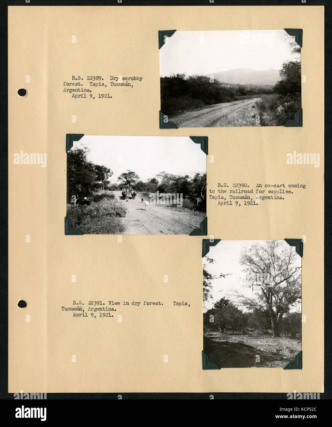 1920s photographs hi-res stock photography and images - Alamy