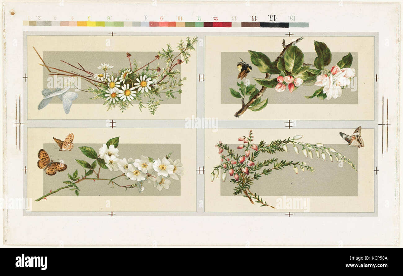 Four Floral and Insect Compositions on One Sheet (Boston Public Library ...