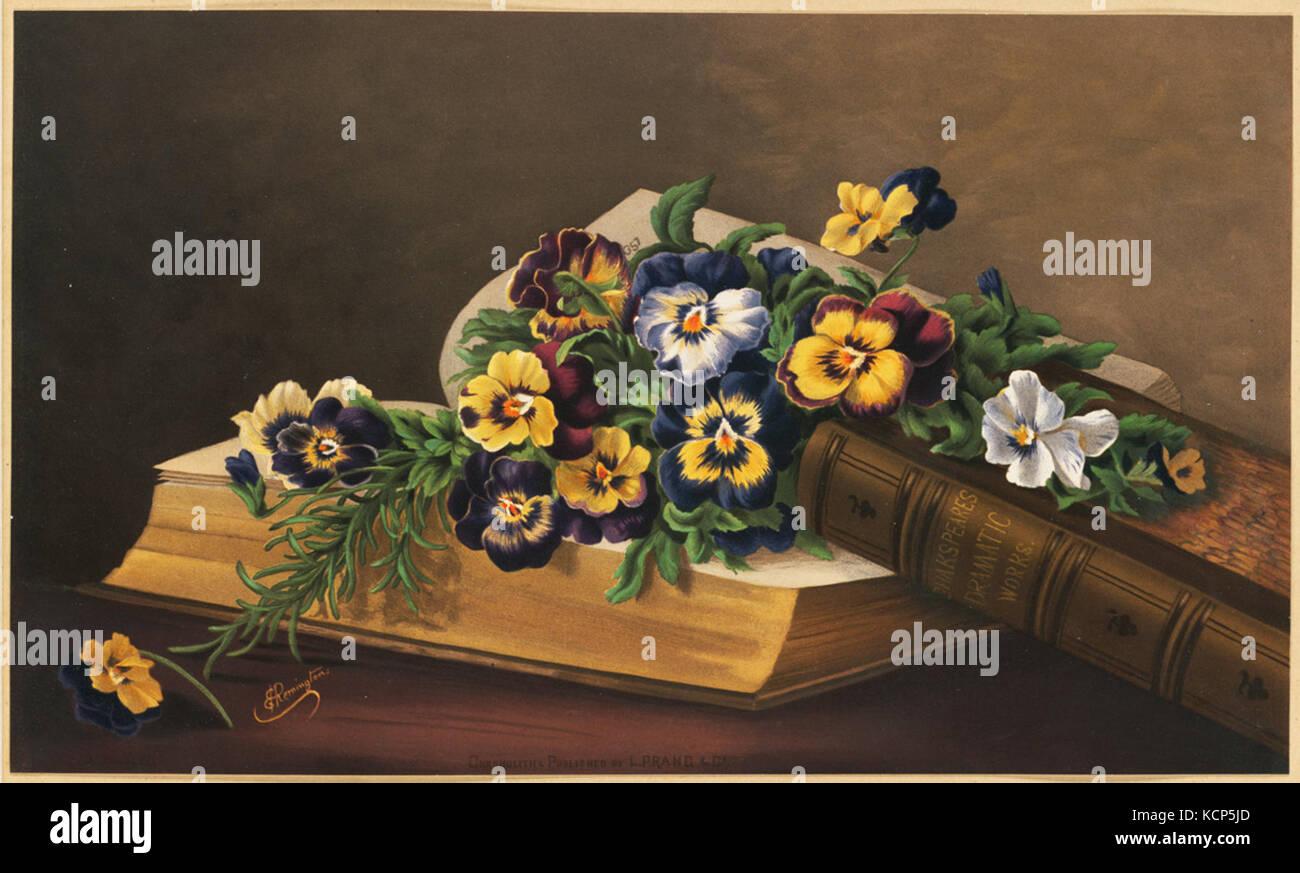 Flowers of Memory (Boston Public Library Stock Photo - Alamy