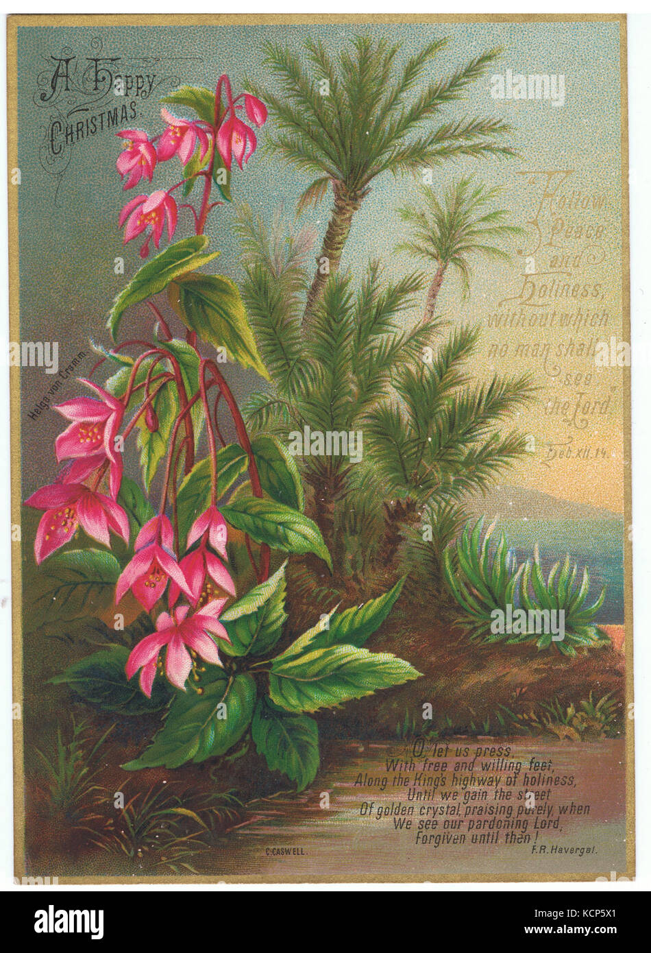 Fuchsia Christmas card, chromolithograph, by Helga von Cramm, with ...