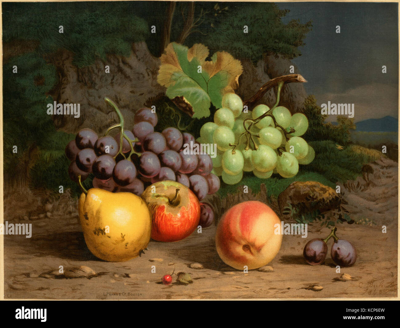 Realistic fruit depiction hi-res stock photography and images - Alamy