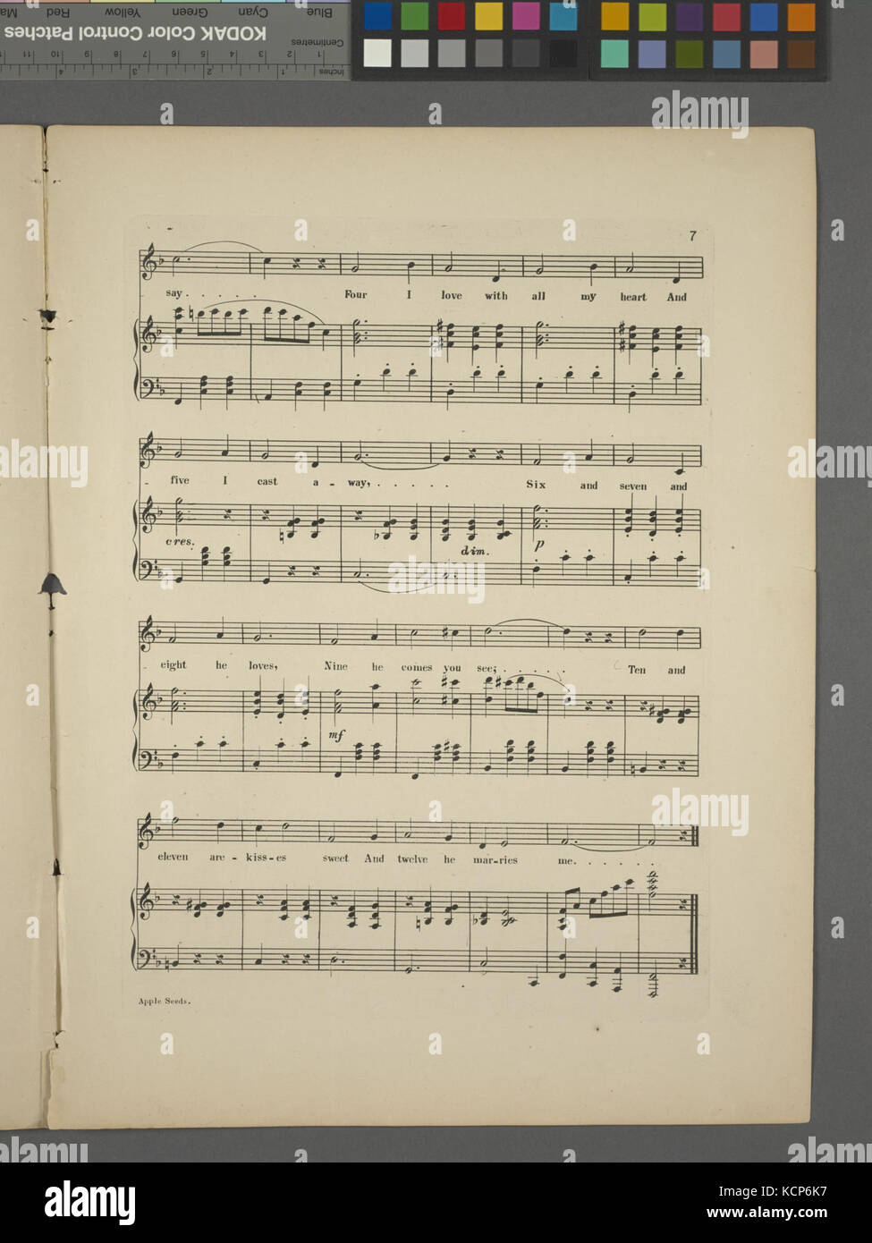 Apple seeds (NYPL Hades 463683 1693589 Stock Photo - Alamy