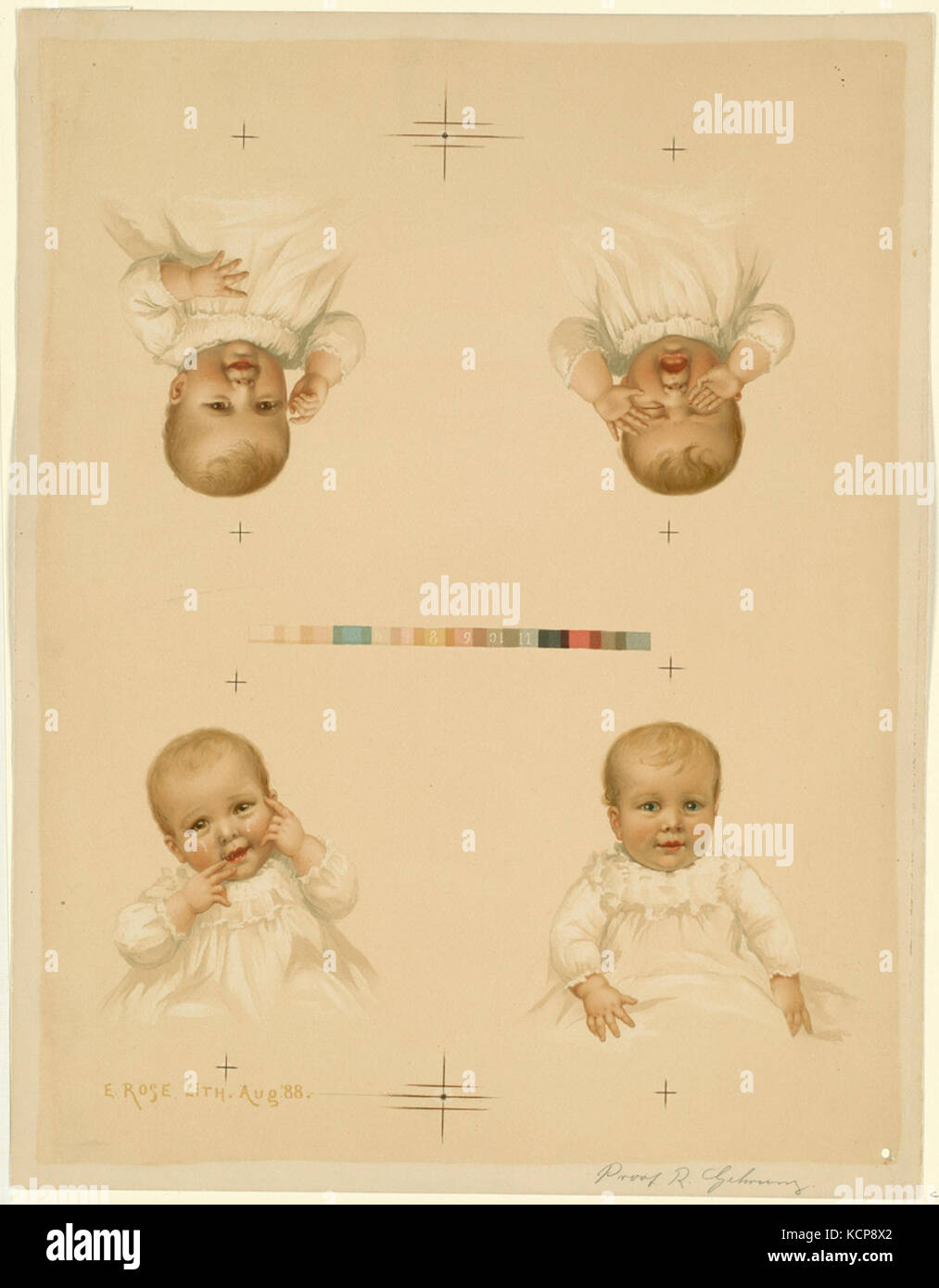 Baby with Four Facial Expressions by Boston Public Library Stock Photo ...
