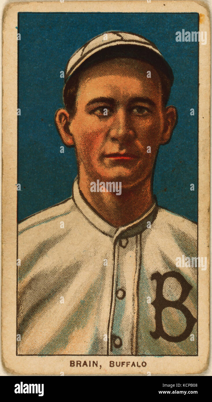 Buffalo brain hi-res stock photography and images - Alamy