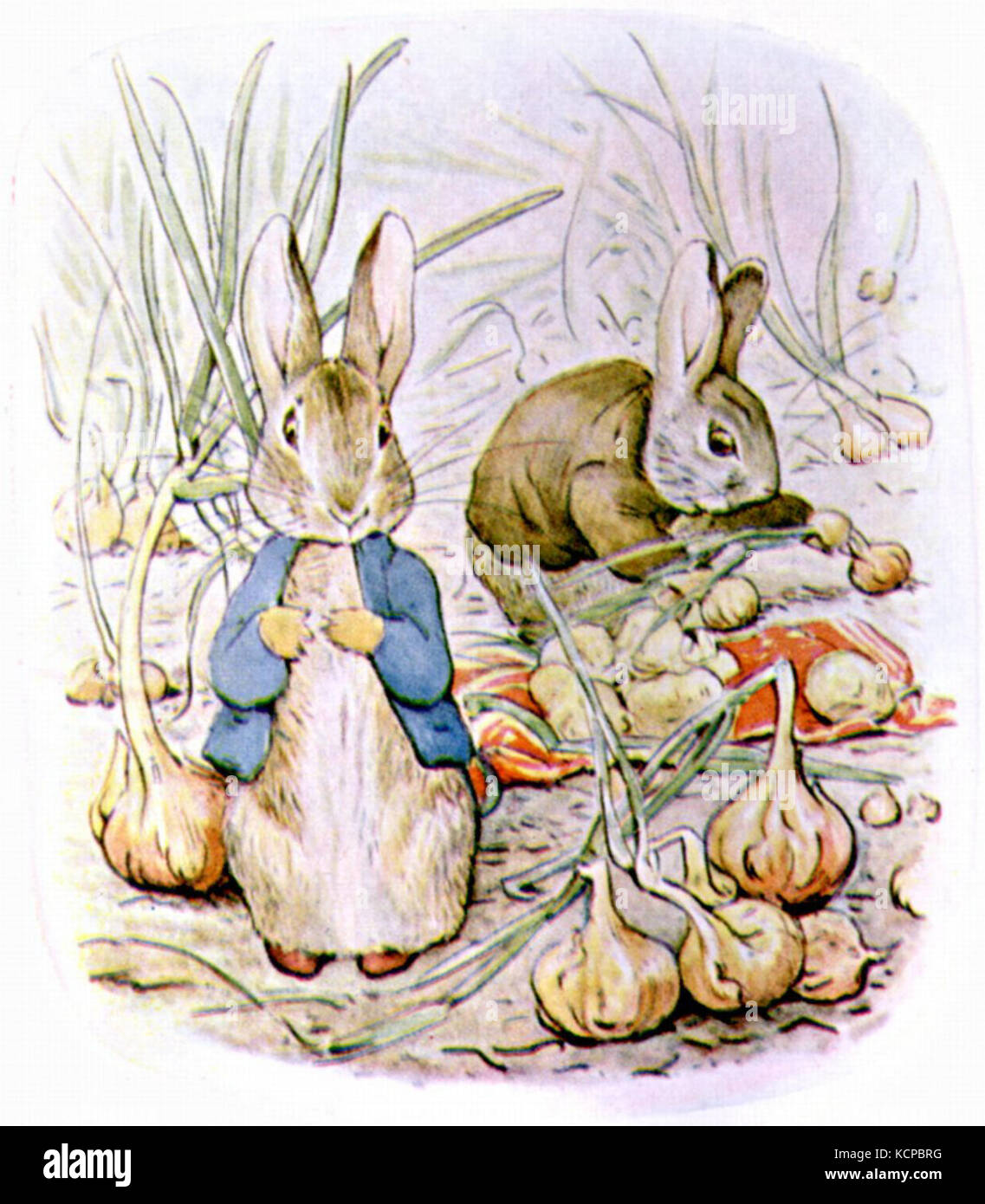 Benjamin bunny onions Stock Photo - Alamy