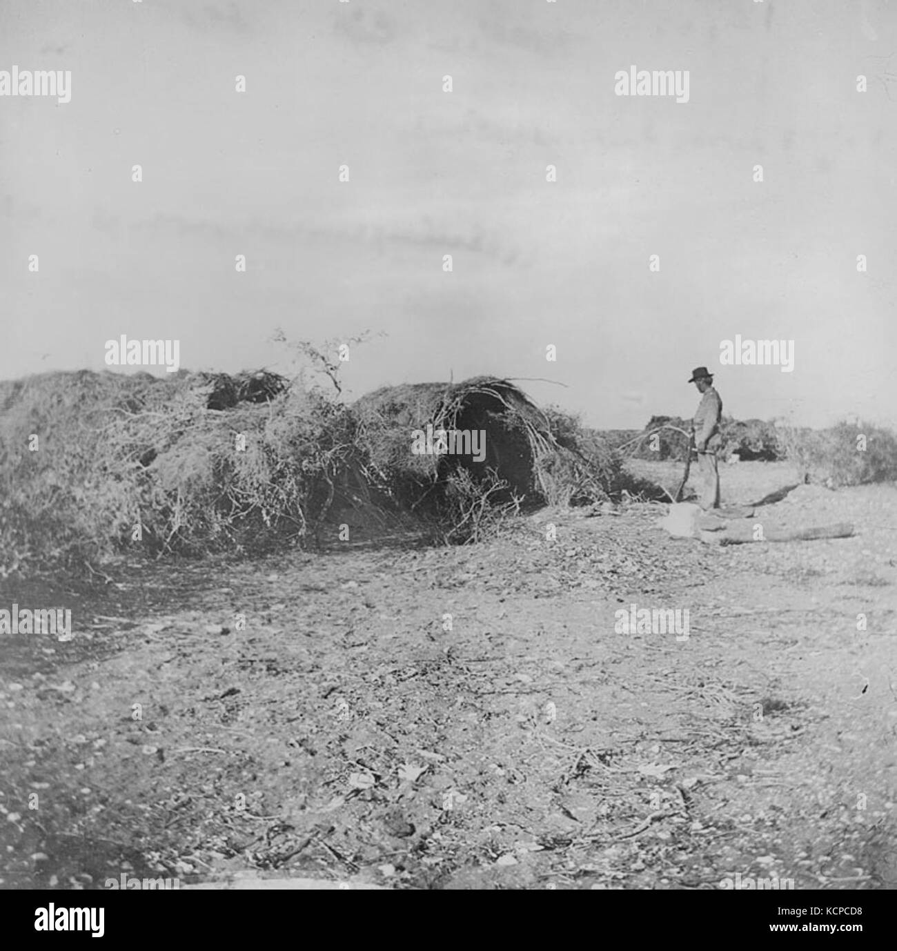 Abandoned Seri village Tiburon Island 1895 Stock Photo - Alamy