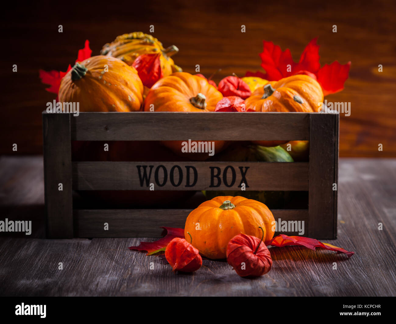 Traditional pumpkins for Thanksgiving in warm colors Stock Photo - Alamy