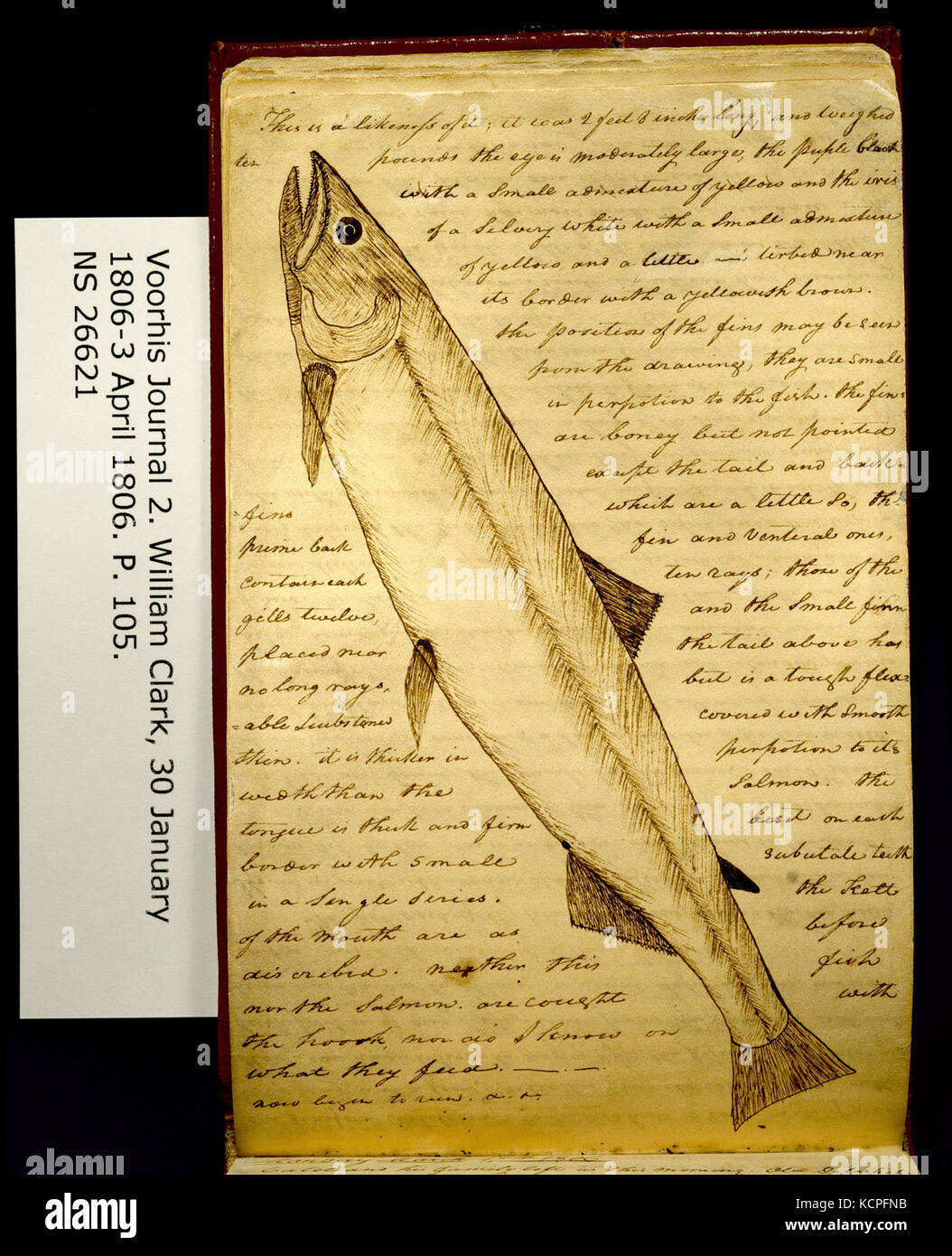 Historical family histories hi-res stock photography and images - Alamy