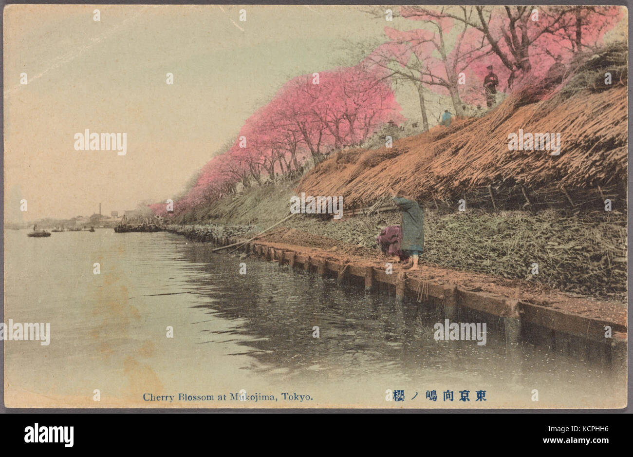 Mukojima gardens hi-res stock photography and images - Alamy