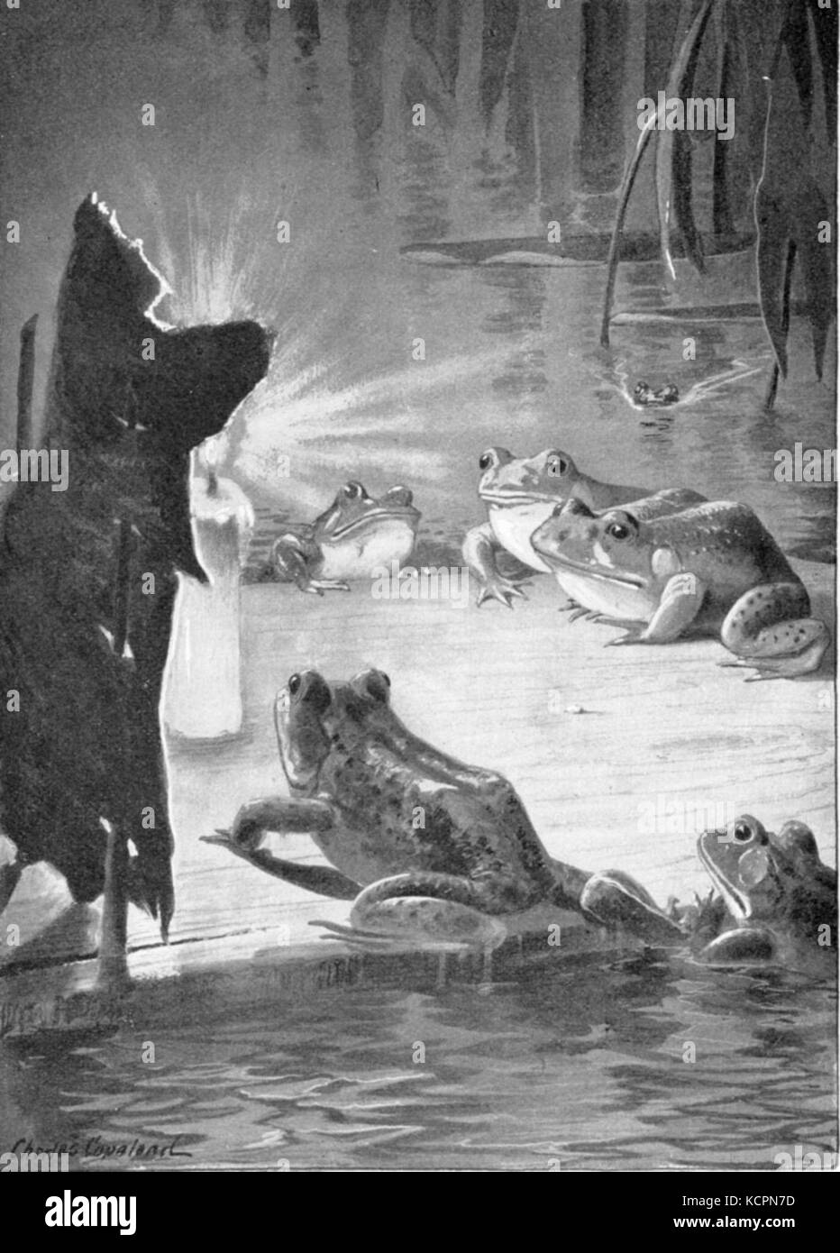 Frogs Attracted to Candlelight, by Charles George Copeland Stock Photo ...