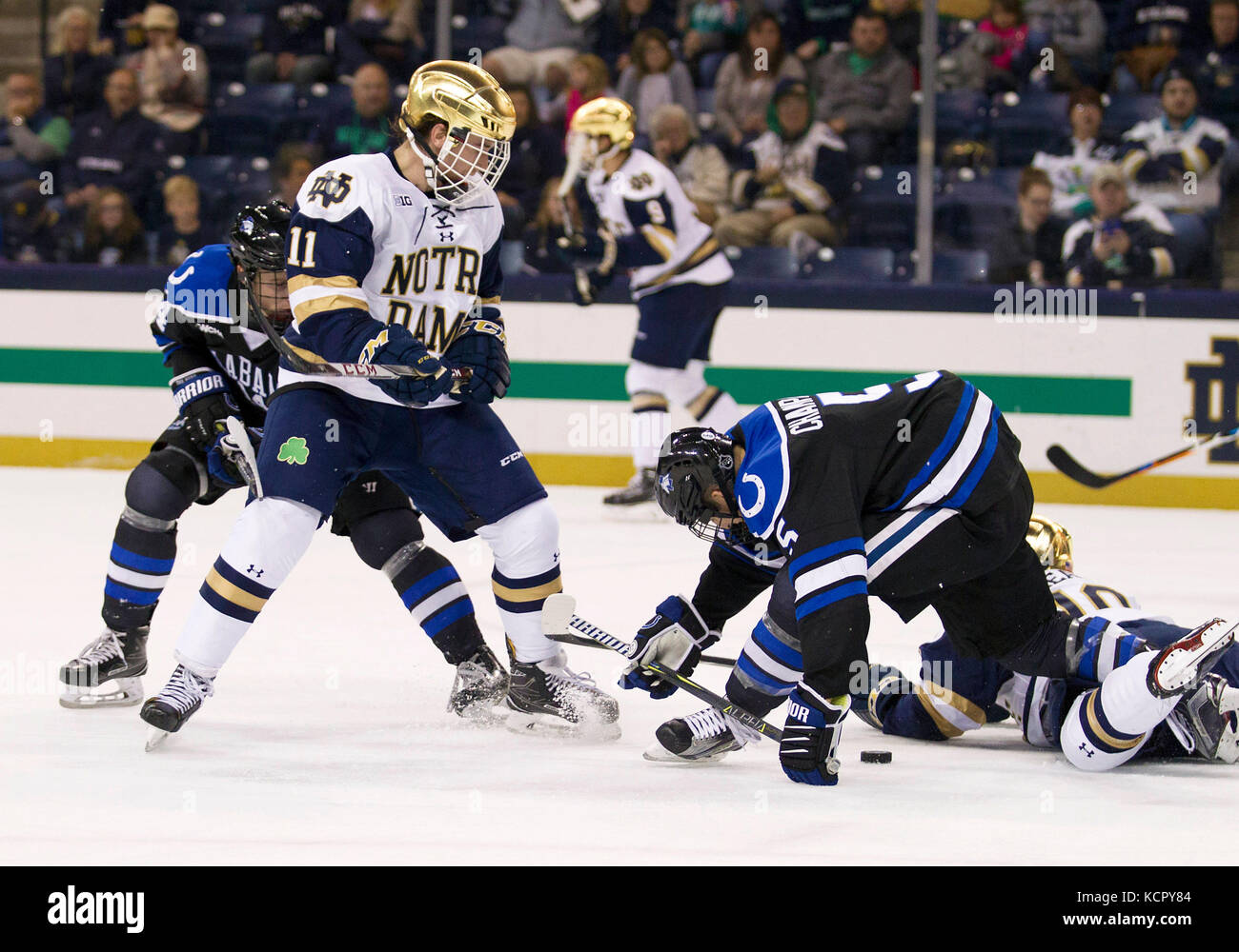 South Bend, Indiana, USA. 06th Oct, 2017. Notre Dame forward Cal Burke ...