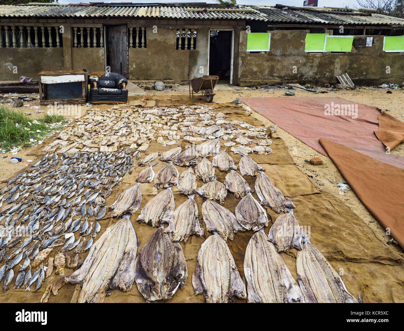 Colombo, Western Province, Sri Lanka. 7th Oct, 2017. Fish dry in the ...