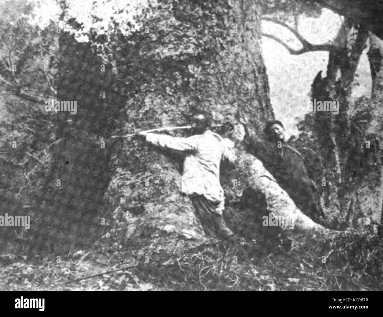 Camphor camphor Black and White Stock Photos & Images - Alamy