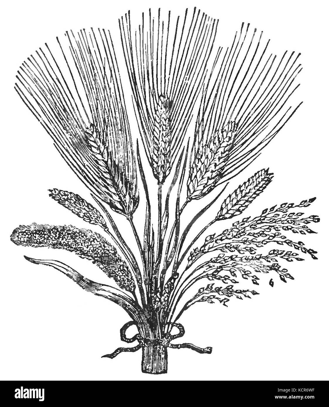 Atlantis The Antediluvian World 1882 p062 Stock Photo - Alamy