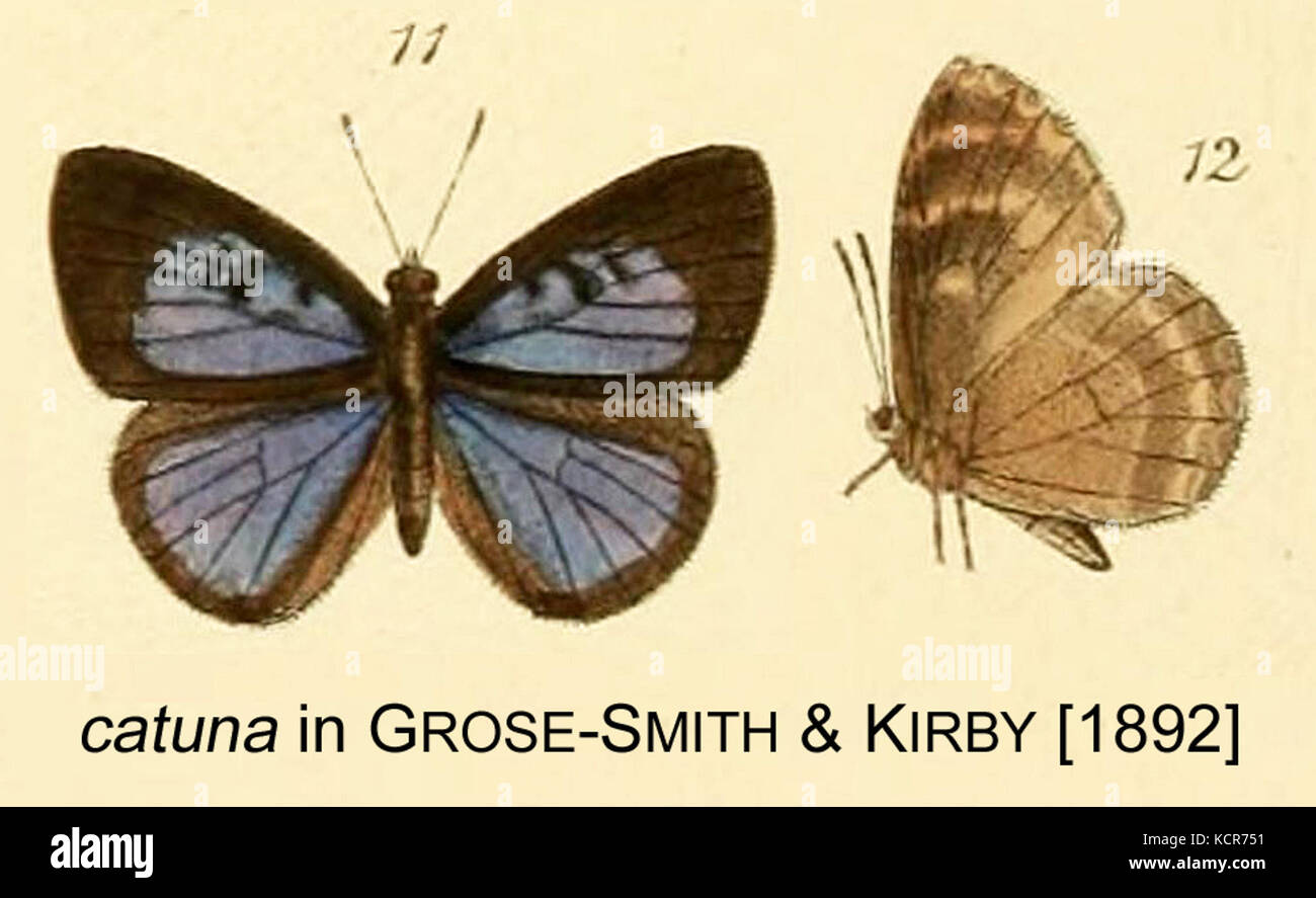 Catuna hi-res stock photography and images - Alamy