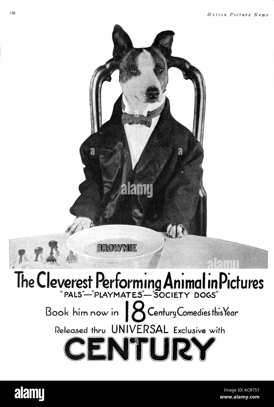 Photography table Black and White Stock Photos & Images - Alamy