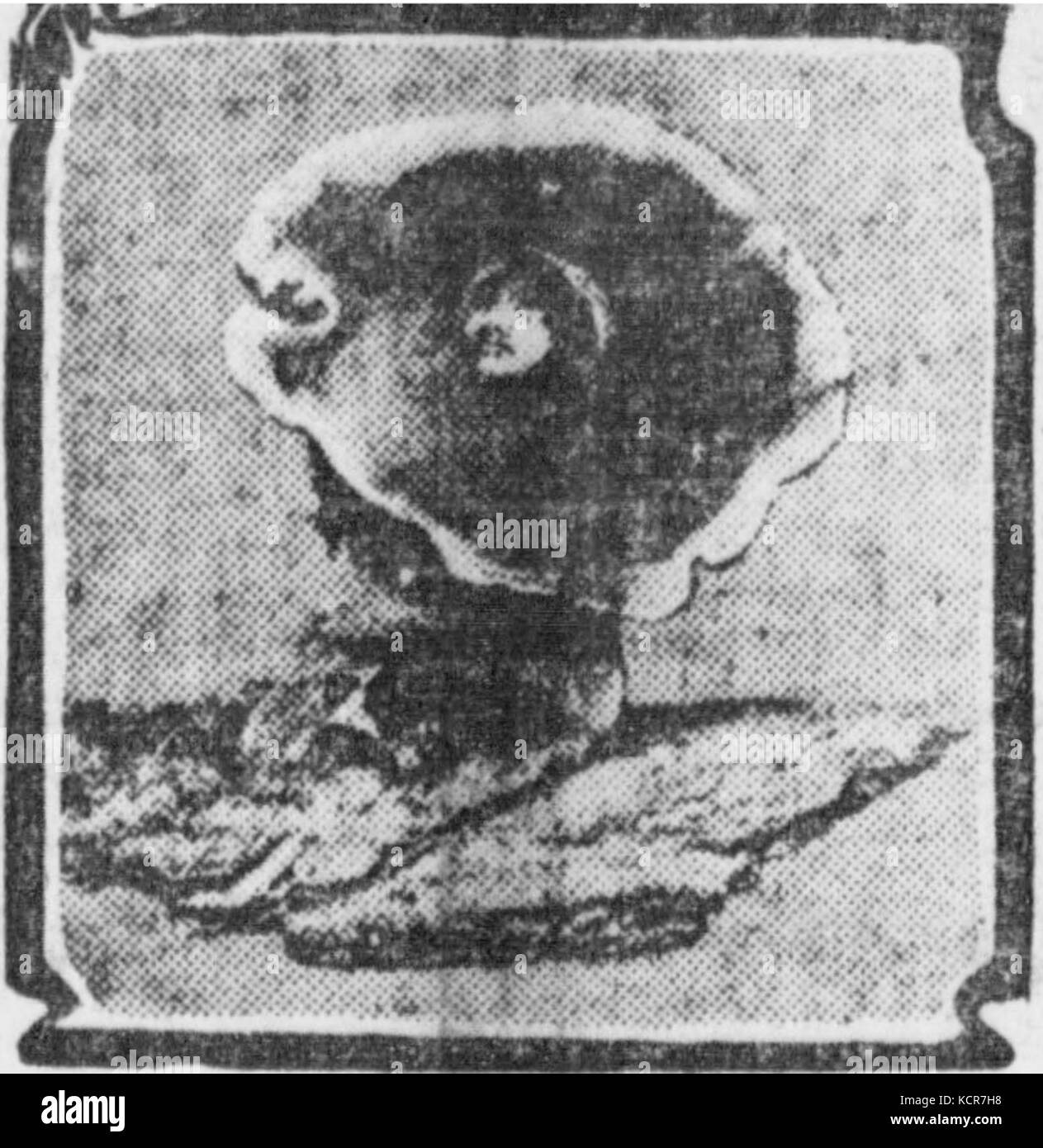 Art on a conk Stock Photo - Alamy