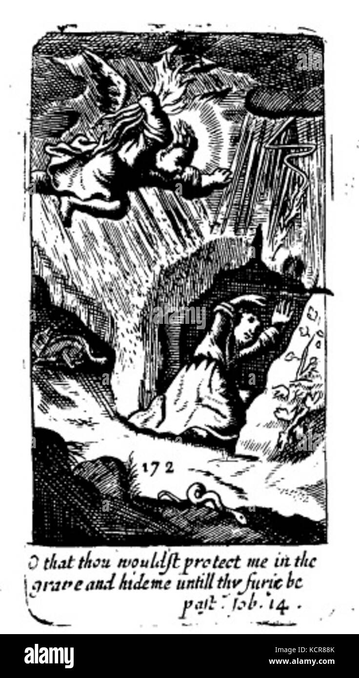 Gryphius family hi-res stock photography and images - Alamy