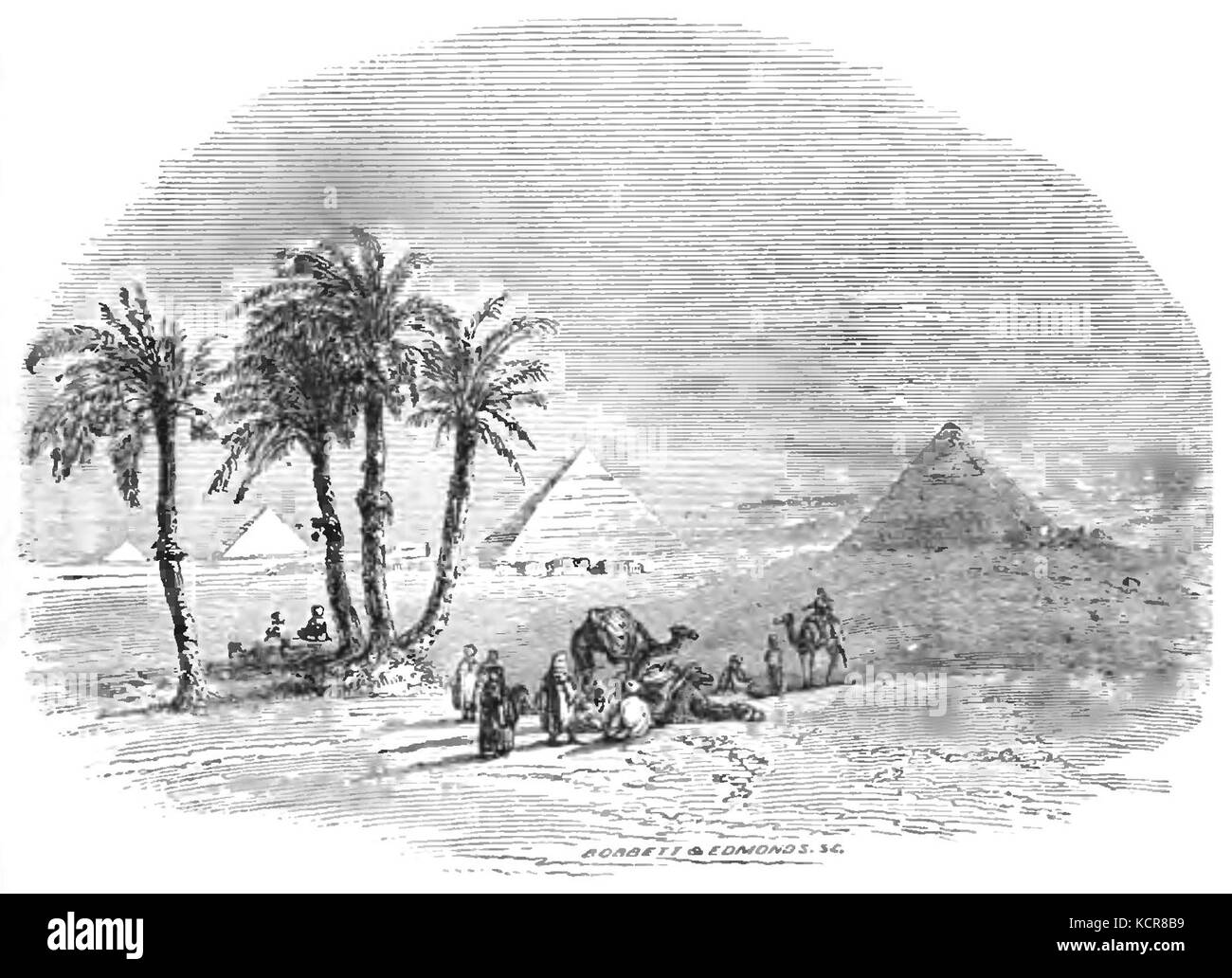 Antediluvian world hi-res stock photography and images - Alamy