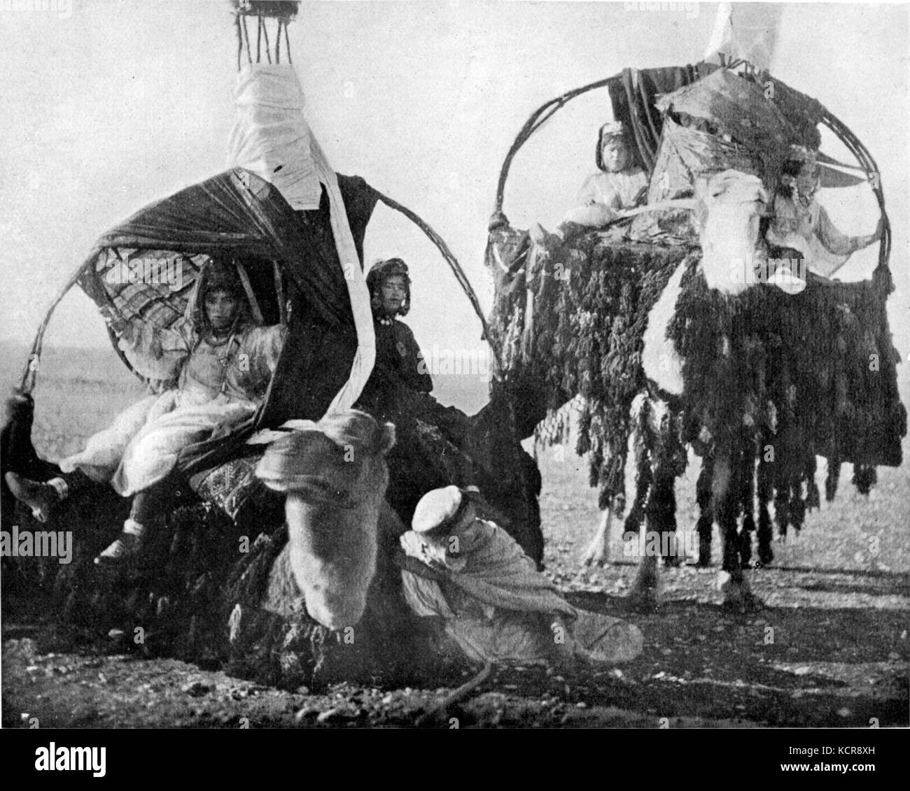 Algerian women on a journey Stock Photo - Alamy