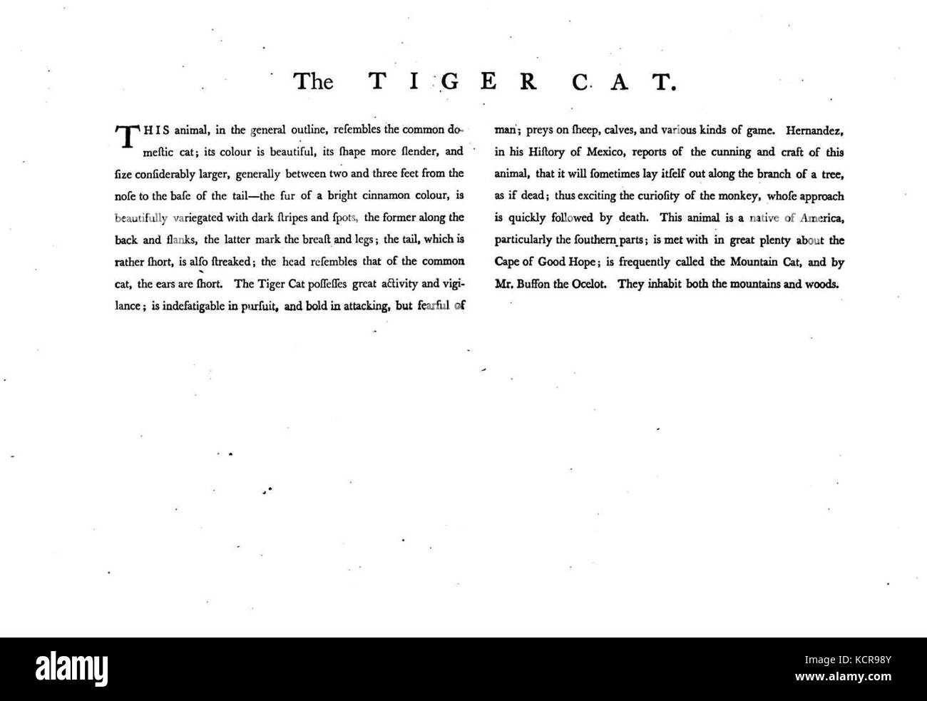 This illustration from 'Animals' by Charles Catton, published in 1788 ...