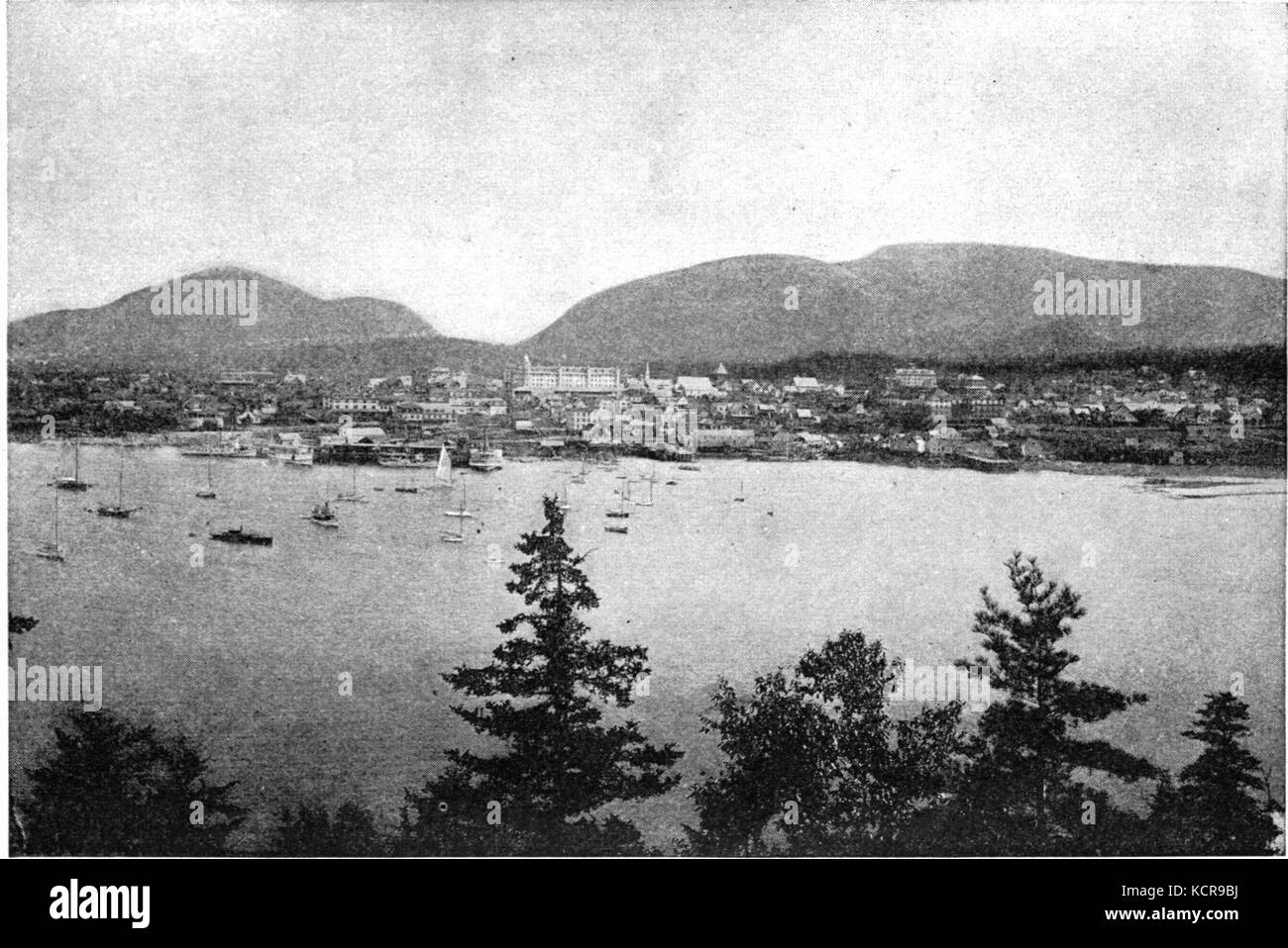 Frontispiece Love in Idleness Stock Photo - Alamy