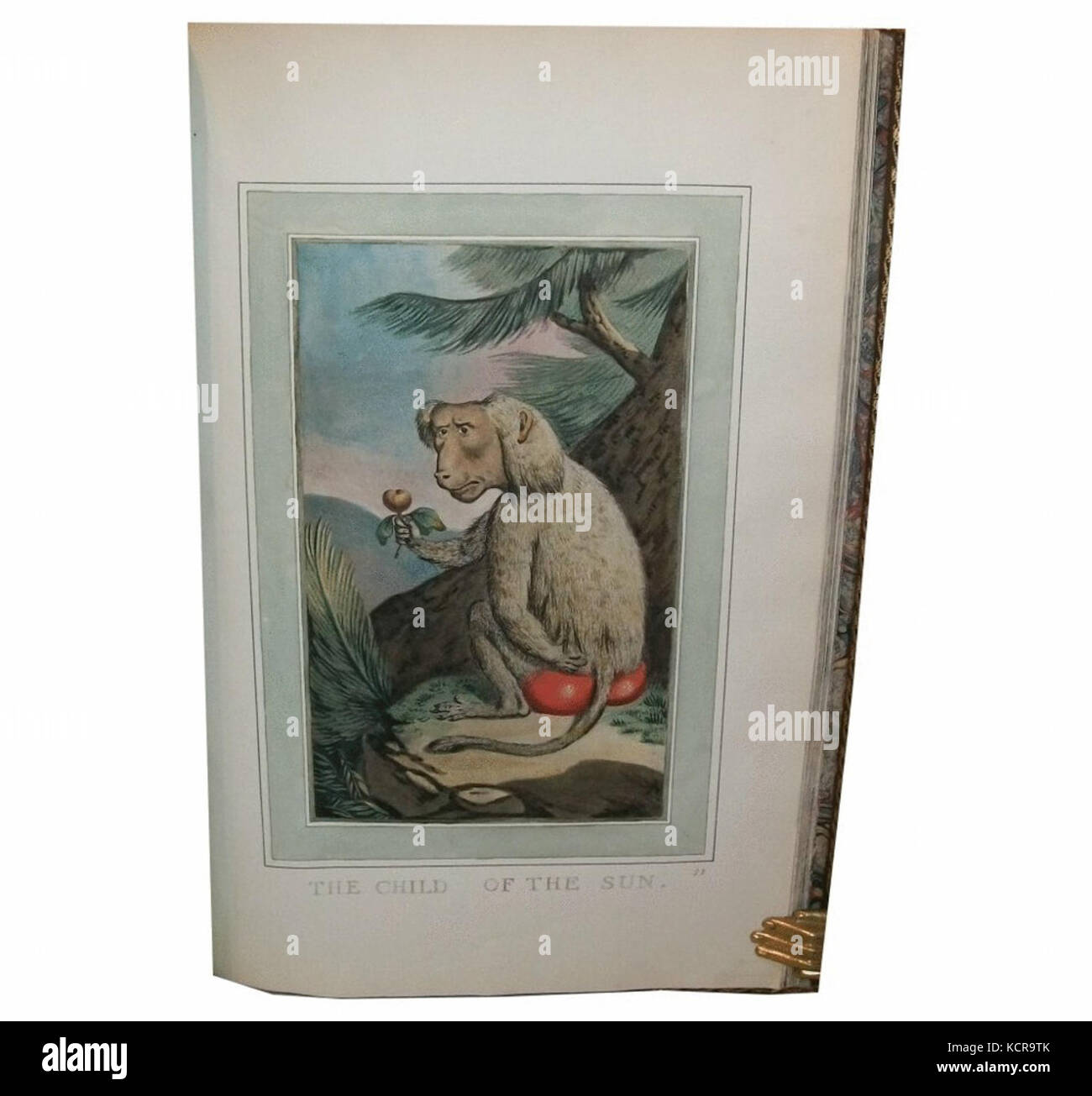 Book and sun Cut Out Stock Images & Pictures - Alamy