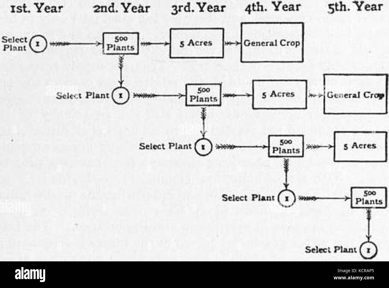 Sustainability cotton Black and White Stock Photos & Images - Alamy