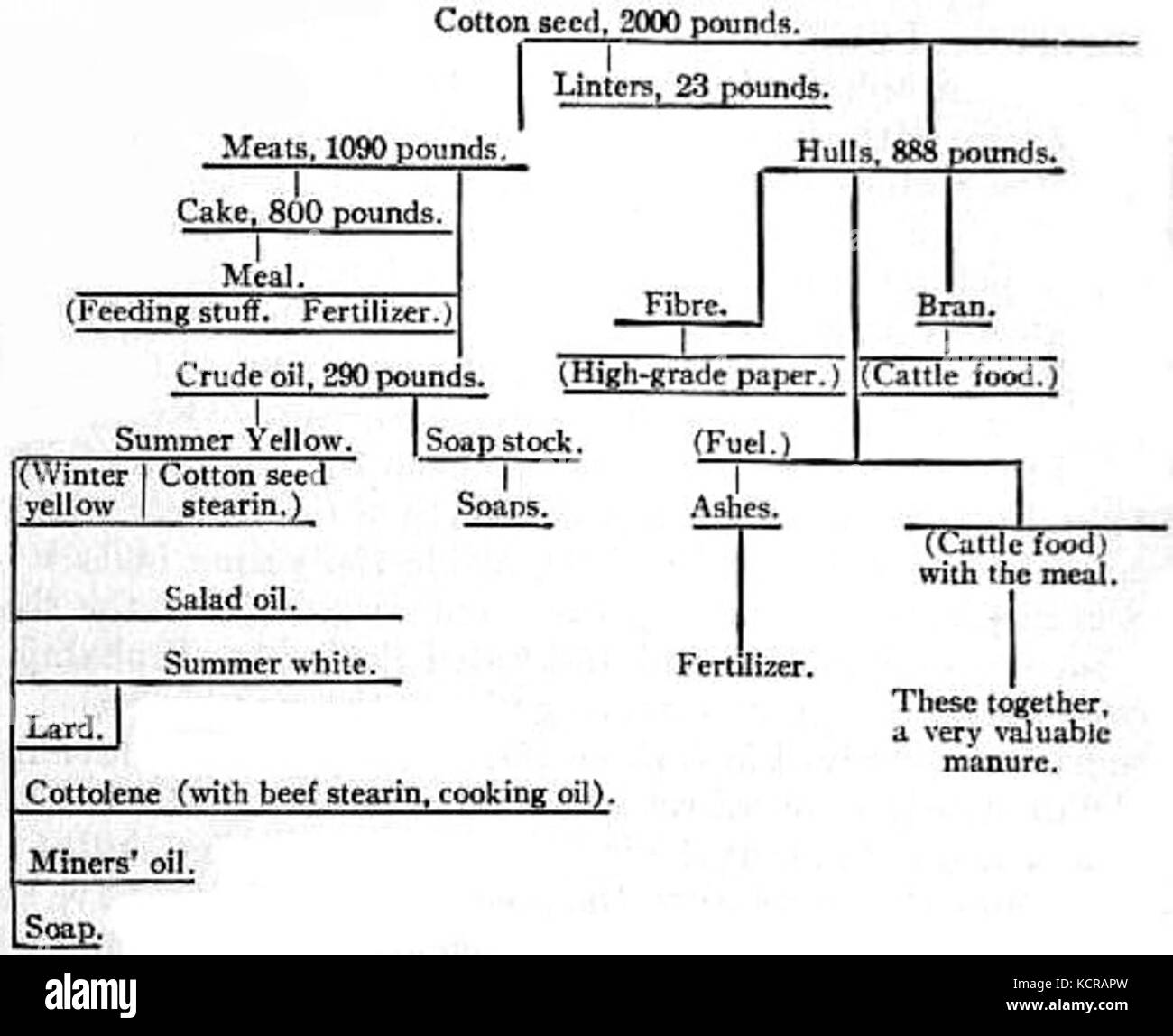 EB1911 Cotton Products from a Ton of Cotton Seed Stock Photo - Alamy