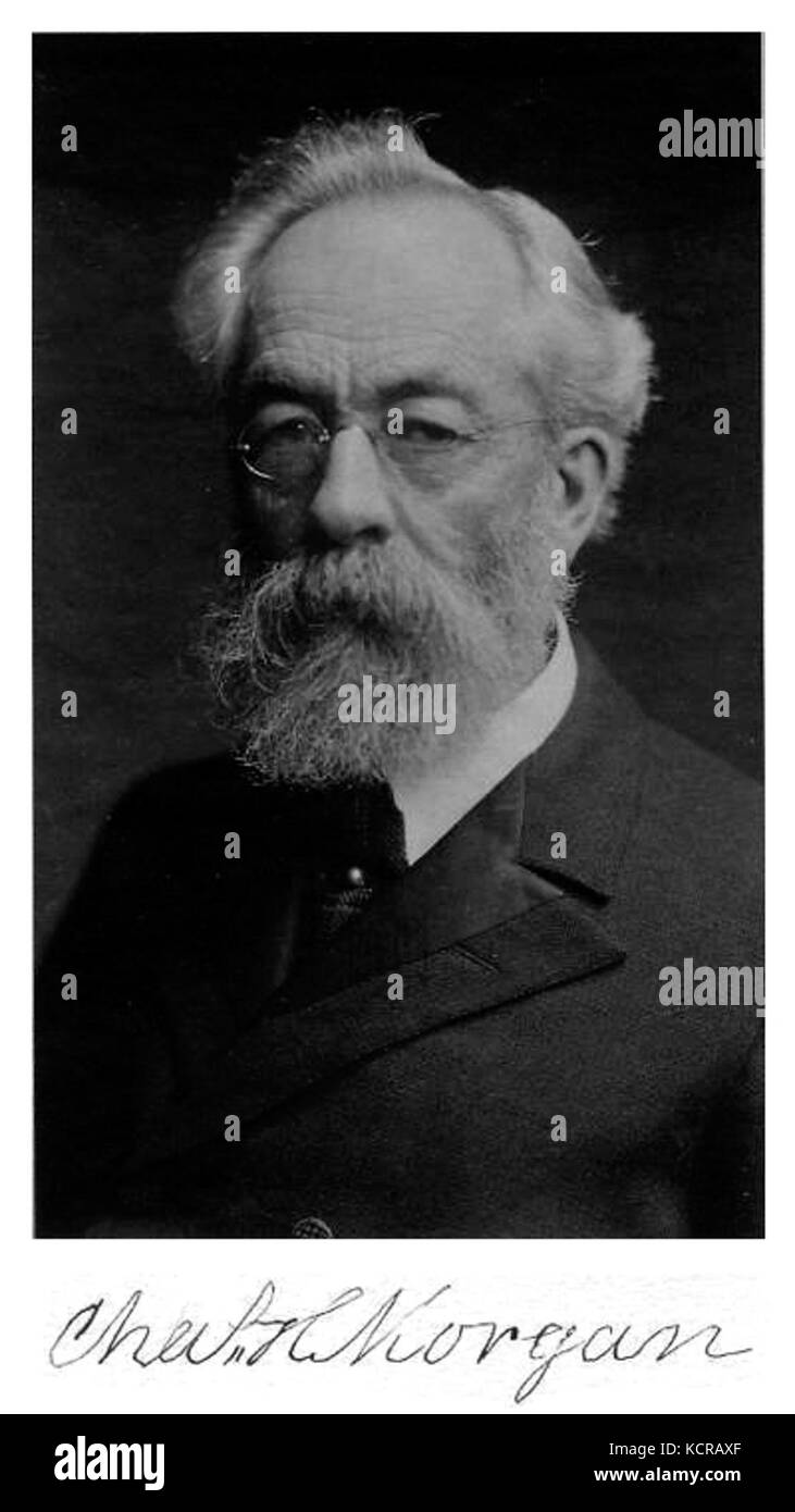 Charles Hill Morgan (1831 1911 Stock Photo - Alamy