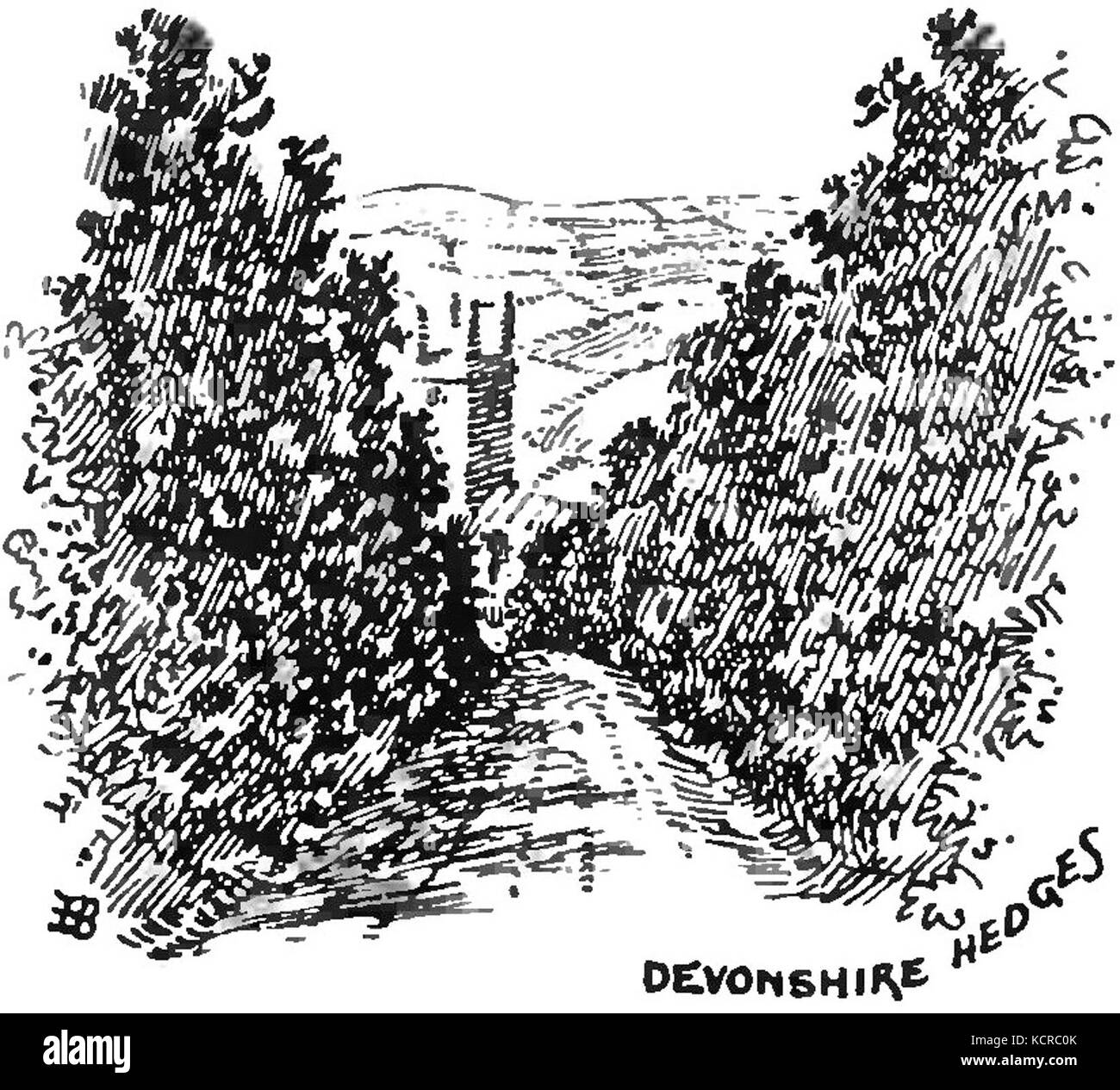 Old english structures Cut Out Stock Images & Pictures - Alamy