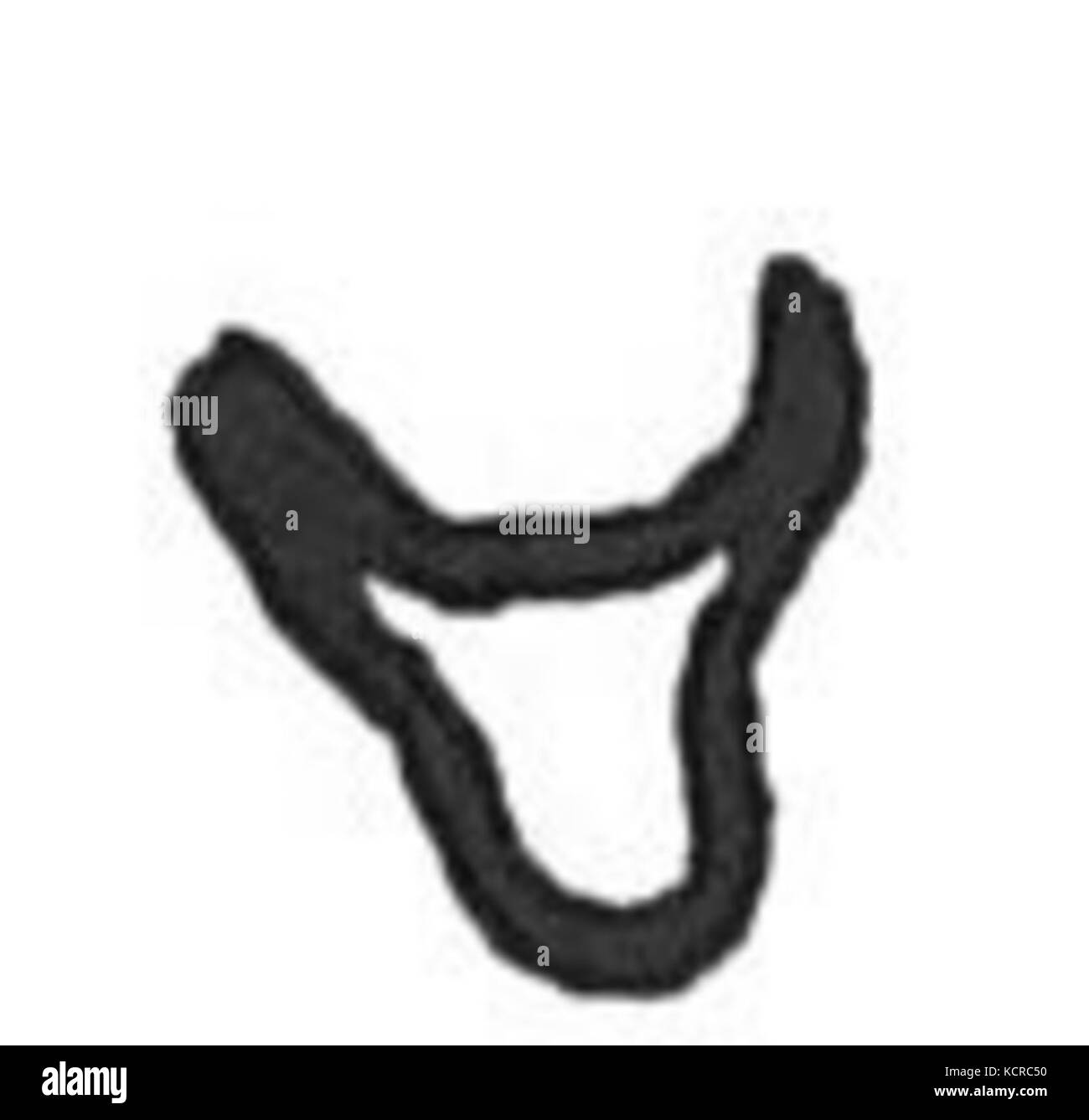 This image, labeled 'Cow1vanLoon,' features a cow, likely part of an ...