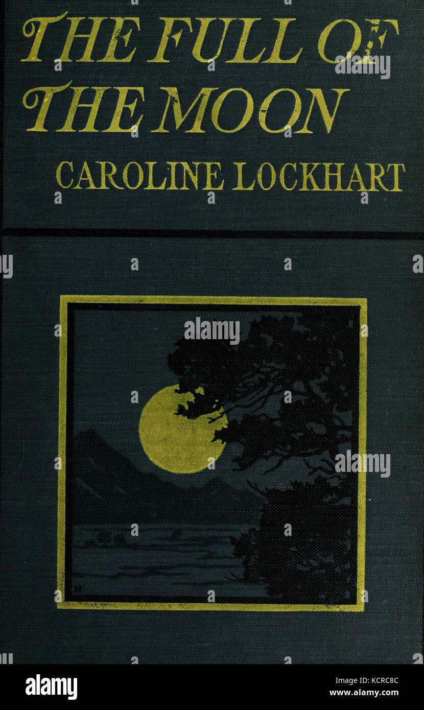 Moonlight book cover hi-res stock photography and images - Alamy