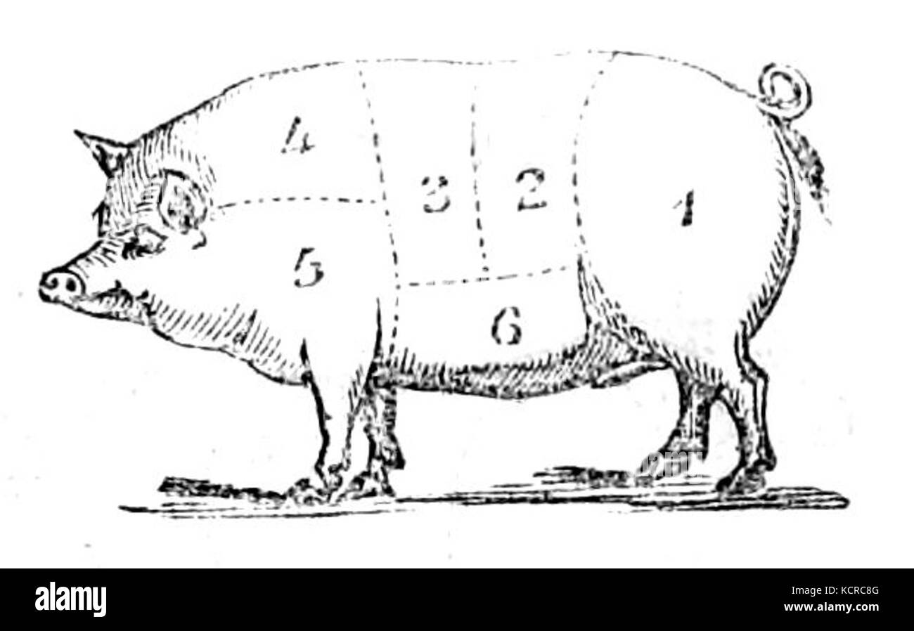 Food british english Cut Out Stock Images & Pictures - Alamy