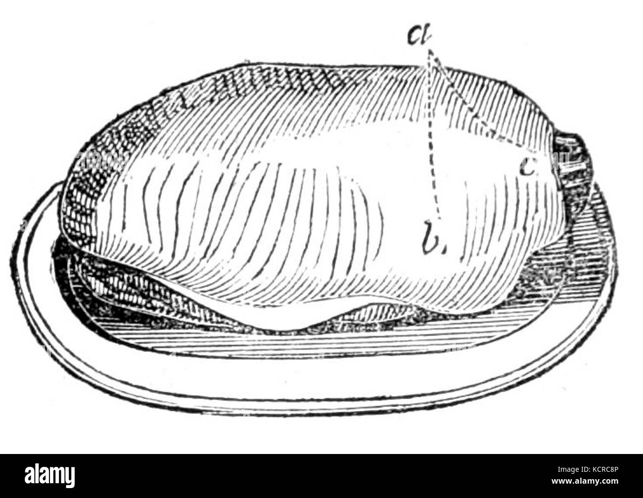 English Housekeeper Ham Stock Photo - Alamy