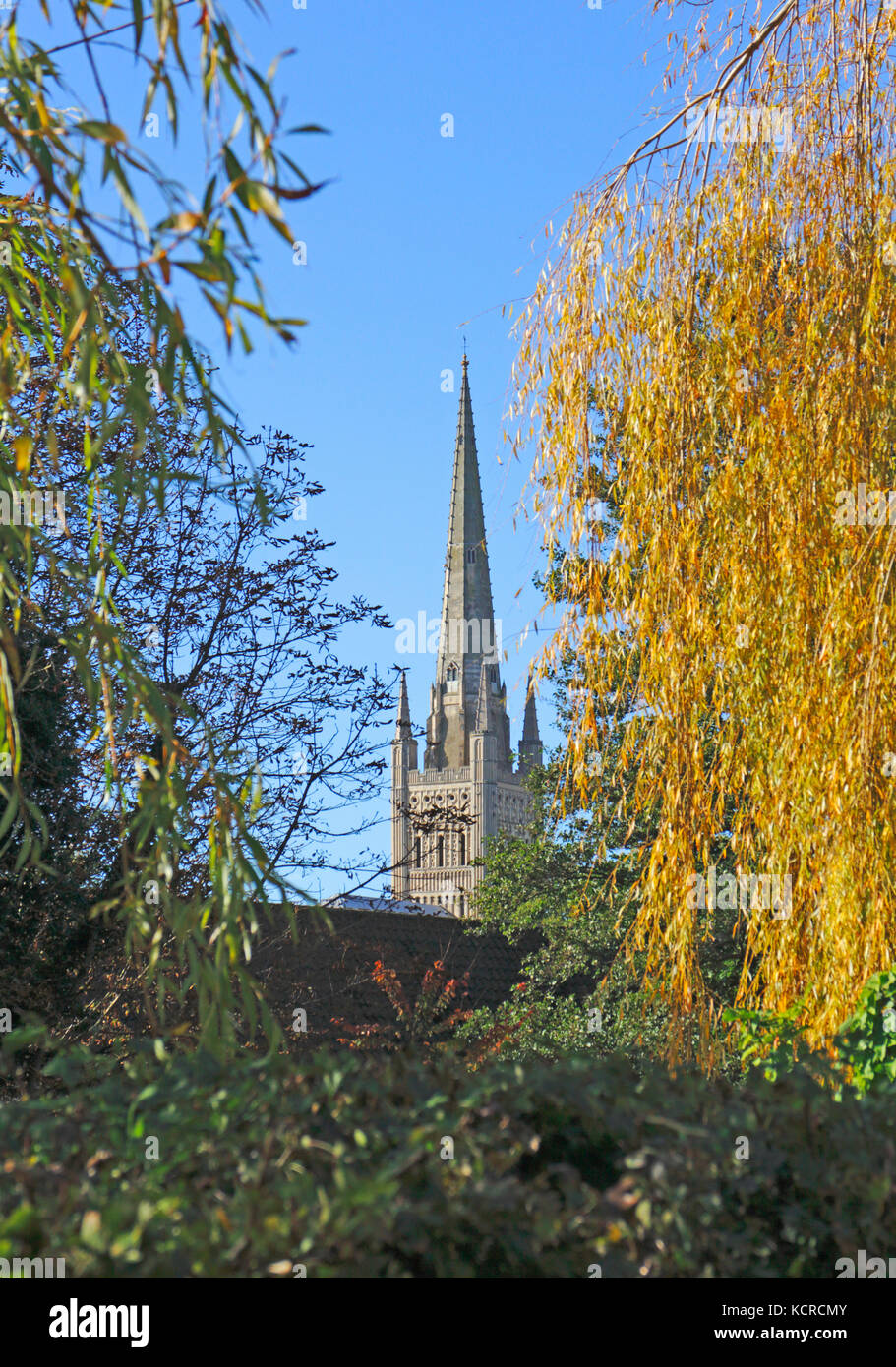 A view of the Cathedral tower and spire through autumn foliage in ...