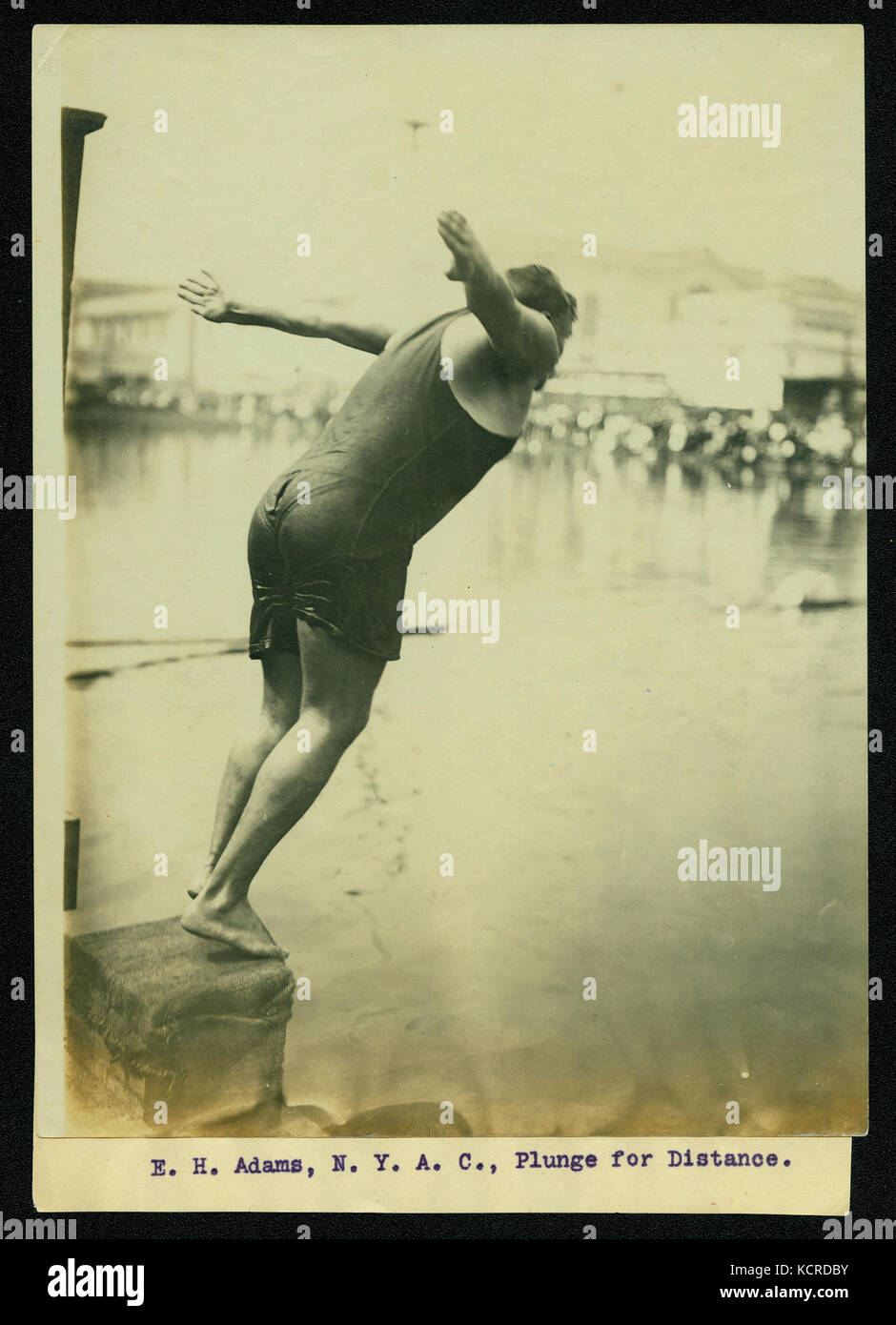 E.H. Adams, New York Athletic Club, Plunge for Distance (Swimming and ...