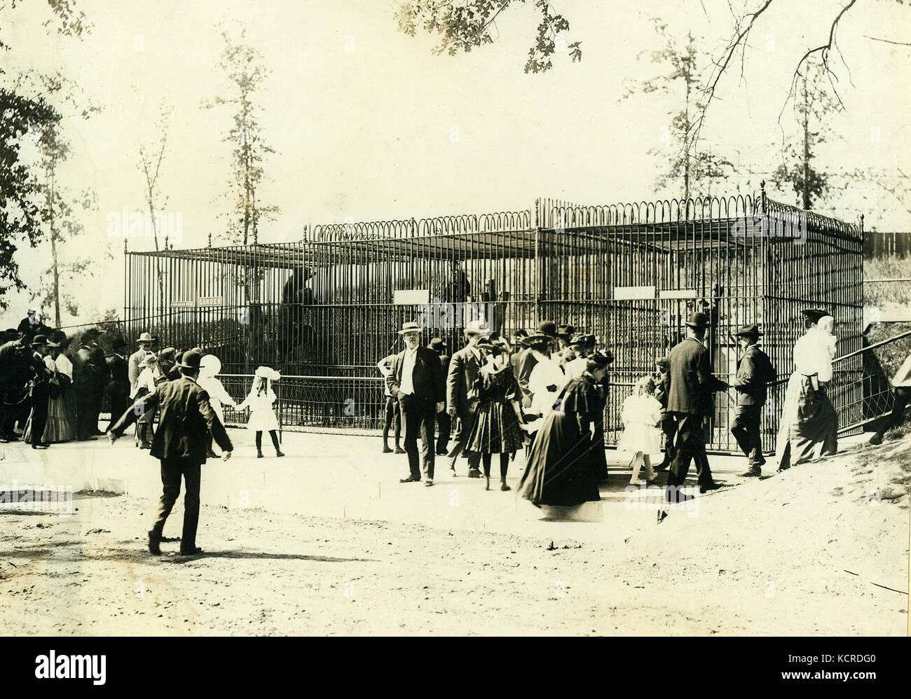 Animal cage in Forest Park Stock Photo - Alamy