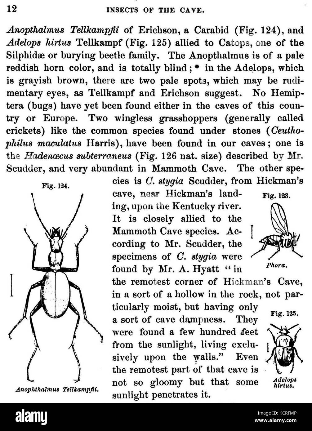 Map of mammoth cave hi-res stock photography and images - Alamy