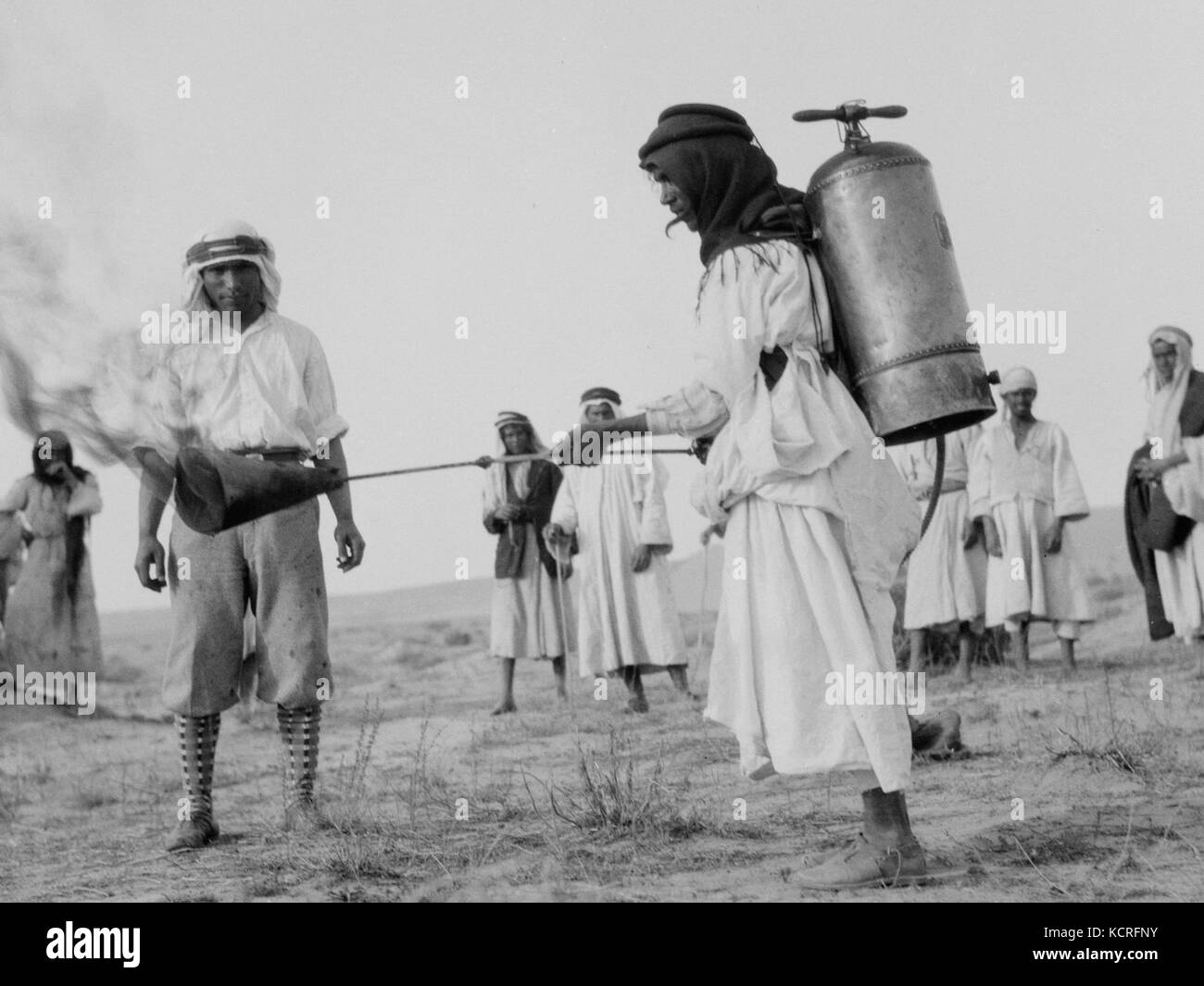 Locust swarm on crops Black and White Stock Photos & Images - Alamy