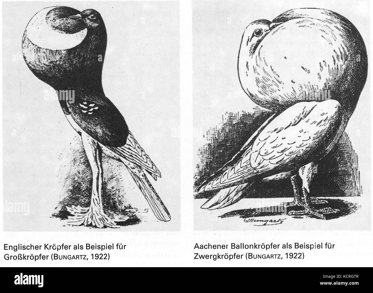 0021 Black and White Stock Photos & Images - Alamy