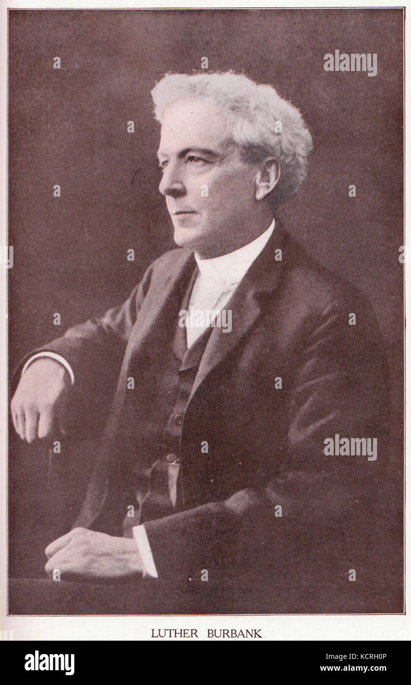 Luther burbank hi-res stock photography and images - Alamy